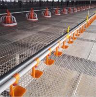 China Poultry Farm Automatic Pan Feeding System Floor Raising For Chicken Broiler Breeder for sale