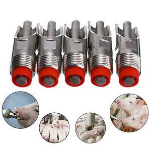 China Anticorrosion Automatic Nipple Drinker Livestock For Pig Thickening Waterer for sale