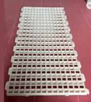 China Poultry Ventilation Chicken Plastic Slat Floor Customised for sale