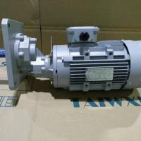 China Taiwan Wanxin Wanshsin Transtecno Gear Motor For Automatic Feeding Line for sale