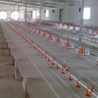 China Motor Engine Automatic Pan Feeding System For Chicken Broiler Poultry for sale