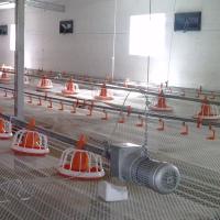 China Motor Engine Automatic Pan Feeding System For Chicken Broiler Poultry for sale