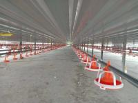 China Drinking Automatic Chicken Feeding System For Chicken Poultry Farming Equipment for sale