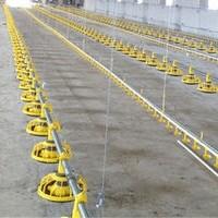 China Chicken Drinking Automatic Pan Feeding System For Poultry Farming Equipment Machine for sale