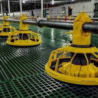 China Chicken Drinking Automatic Pan Feeding System For Poultry Farming Equipment Machine for sale