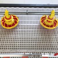 China Poultry Farming Chicken Feeder Equipment Long Life for sale