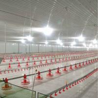 China Poultry Farming Chicken Feeder Equipment Long Life for sale