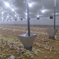 China 50 Broiler Chicken Fully Automatic Pan Feeding System for sale
