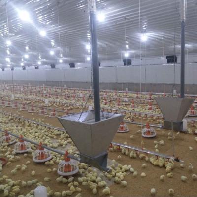 China 50 Broiler Chicken Fully Automatic Pan Feeding System for sale