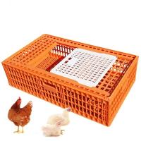 China Farming PP Poultry Carrier Crate Chicken Transport for sale