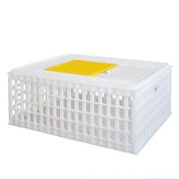 China Farming PP Poultry Carrier Crate Chicken Transport for sale