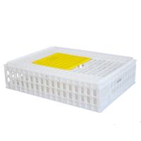 China 8-10 Chickens Poultry Carrier Crate Pp For Transportation for sale