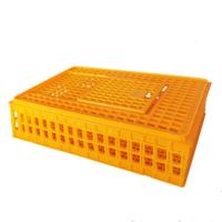 China 8-10 Chickens Poultry Carrier Crate Pp For Transportation for sale