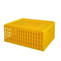 China 8-10 Chickens Poultry Carrier Crate Pp For Transportation for sale