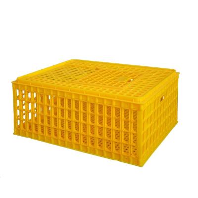 China 8-10 Chickens Poultry Carrier Crate Pp For Transportation for sale