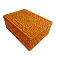 China Three Doors Broiler Transport Crates Poultry Polypropylene for sale
