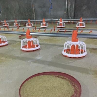 China Hen Chicken Farm Animal Poultry Feeder Drinker Hdg Sheet for sale