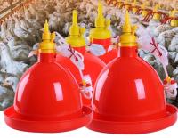 China Broiler Animal Automatic 2kg Poultry Feeder Drinker For Husbandry Equipment for sale