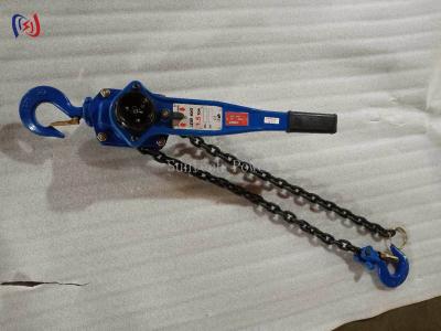 China Durable Chain Type Handle Hoist with 5-90KN Rated Load, 1.5m Standard Lifting Height, and 1-3ROW Lifting Chain for Utility Substation Projects for sale