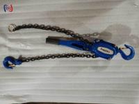 China Durable Chain Type Handle Hoist with 5-90KN Rated Load, 1.5m Standard Lifting Height, and 1-3ROW Lifting Chain for Utility Substation Projects for sale