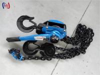 China 5-90KN Rated Load Chain Type Handle Hoist with 1.5M Standard Lifting Height for Energy Independent Operation for sale