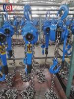 China 5-90KN Rated Load Chain Type Handle Hoist with 1.5M Standard Lifting Height for Energy Independent Operation for sale