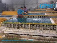 China 38mm depth FRP Molded Grating for vessel catwalk  (ABS certificated) | China GFRP Grating Factory for sale