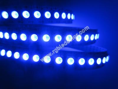 China 5050 digital pure blue led strip for sale