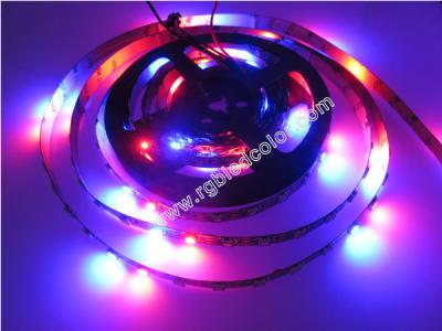 China black polish led 2812 digital rgb programmable led tape for sale
