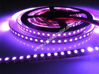 China high brightness 3535 mini rgb led strip ws2812b for sale