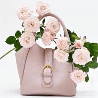 China Genuine Leather Ladies Shoulder Crossbody Bag Simple Small Tote 30x20cm for sale