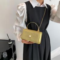 China Small Square Chain Shoulder Bag 2024 Textured Metal Handbag for Women Daily Use for sale