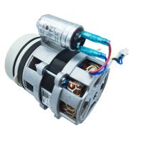 China 220V 50Hz 65/50W 0.28/0.23A Dishwasher Motor YXW48-2F-3 for Hansa/Korting/Gorenje for sale