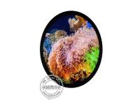 China 23.6 Inch Lcd Screen Advertising Media Display Circular Digital Signage Custom Round for sale