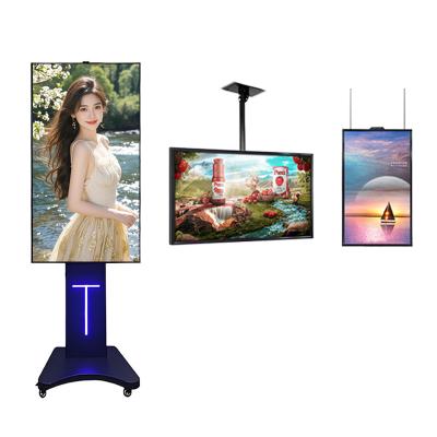 China LED Light Stand 55
