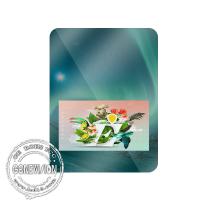 China WiFi Loop Playback 1080x1920P Bathroom Mirror Screen for sale