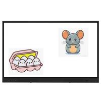 China 75 Inch Interactive Touch Screen Monitor With OPS Mobile Stands For Option for sale