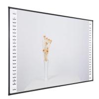 China Wall Mounted Interactive Touch Screen Whiteboard for sale