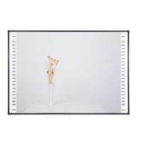 China Wall Mounted Interactive Touch Screen Whiteboard for sale