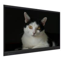 China 98inch 4K Interactive Flat Panel Android 14 8+128gb Digital Smart Touch Screen Android OPS Mobile Stand Optional For Classroom Meeting for sale
