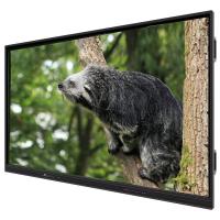 China New paoduct 86 Inch Interactive Flat Panel Whiteboard Touch Screen Digital Displays Smart Whiteboard For Meeting Conference Classroom for sale