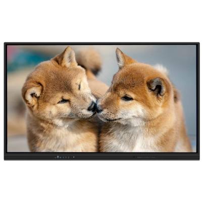 China 75 Inch Interactive Flat Panel Smart Board with Android 15 and WiFi 6 for Schools and Offices for sale