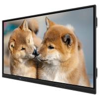 China 75 Inch Factory Price Android 16 WiFi 6 BT Electronic Boards For Classrooms School Meeting for sale