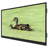 China 75 inch All in one Interactive whiteboard Smart boards for School Office Conference for sale