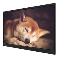 China 65 Inch Interactive Flat Panel USB Wifi Whiteboard Ai Software Android Monitor for sale