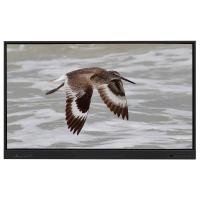 China Iboard Interactive Whiteboard Android 15 EDLA with 65 Inch Panel For E-learning for sale