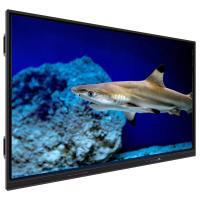 China Interactive Flat Panel with 20 Point Touch 350 Cd/m² Brightness and 50,000 Hrs Lifetime for Enhanced Teaching and Collaboration for sale