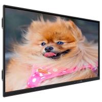 China IBoard Touchscreen Interactive Flat Panel with Windows OPS Computer Optional, 1.07 G Color Depth (8bits+FRC), and 350 Cd/m² Brightness for Modern Meeting Rooms for sale
