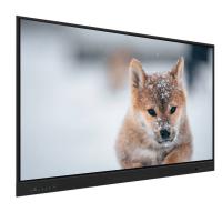 China 86 Inch OEM ODM Brand Portable Smart Interactive Display Screens 50 IR Touch for sale