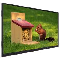 China Interactive Flat Panel with Multi-OS Compatibility and Pen/Finger Touch for Education in 1705.8*1013.5*88.9MM Size for sale